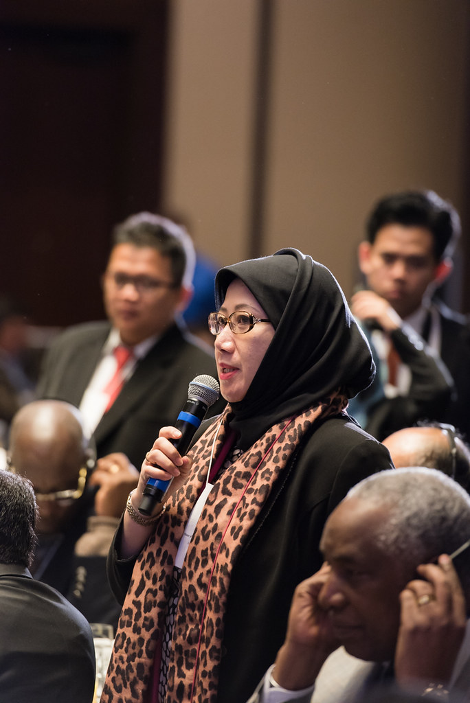 The United States Election Program (USEP) 2024 | IFES - The ...