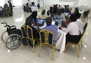 2017_lasiec_strategic_planning_390.png | IFES - The International ...