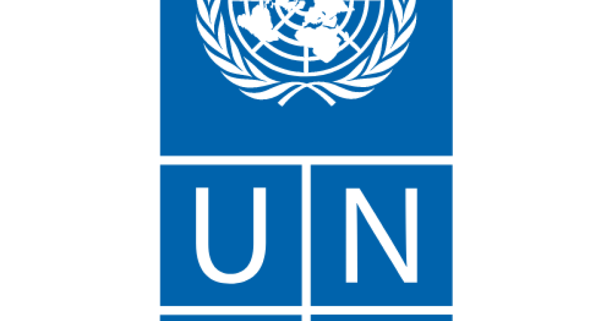 United Nations Development Programme | IFES - The International ...
